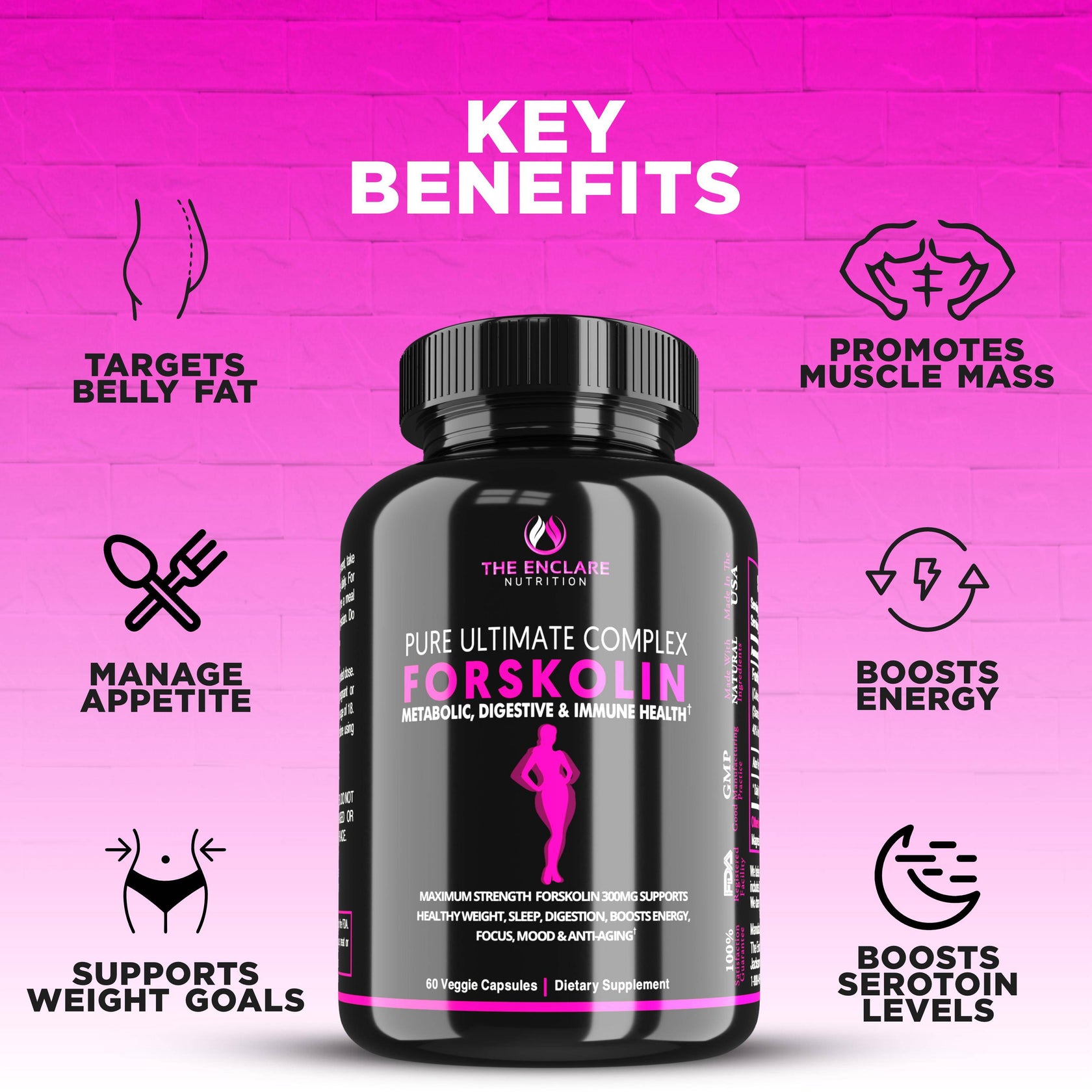 Best Forskolin Extract Supplement for Weight Loss | Enclare Nutrition
